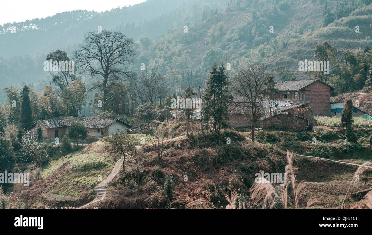 A landscape of village houses and trees with mountains in the ...