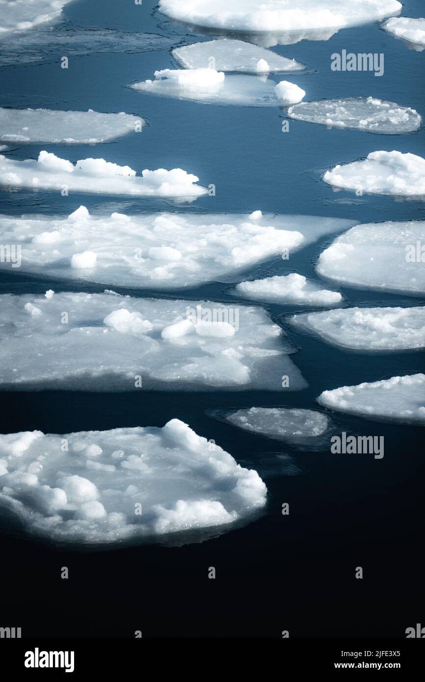 A melting glacier floating on the water surface Stock Photo - Alamy