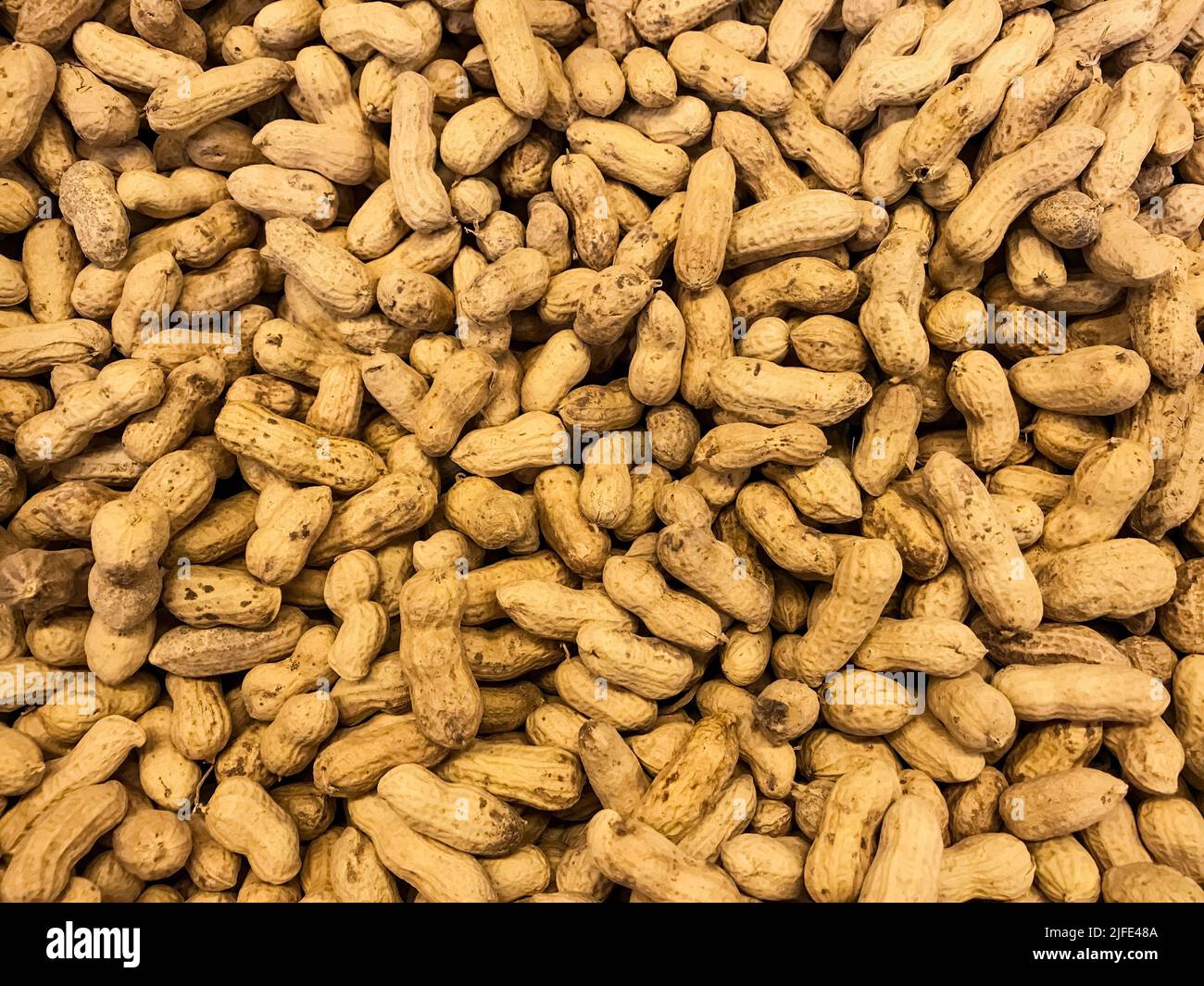 A large pile of unpeeled peanuts in the skin. Nuts natural background ...