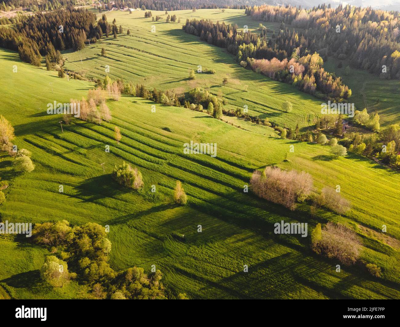 A charming view of green country landscape on a sunny day Stock Photo ...