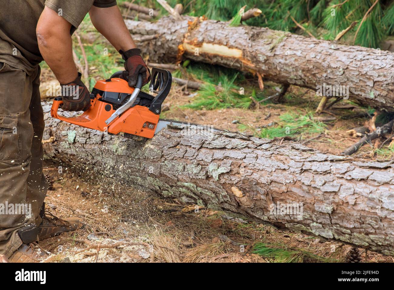 Cutting the tree hi-res stock photography and images - Alamy