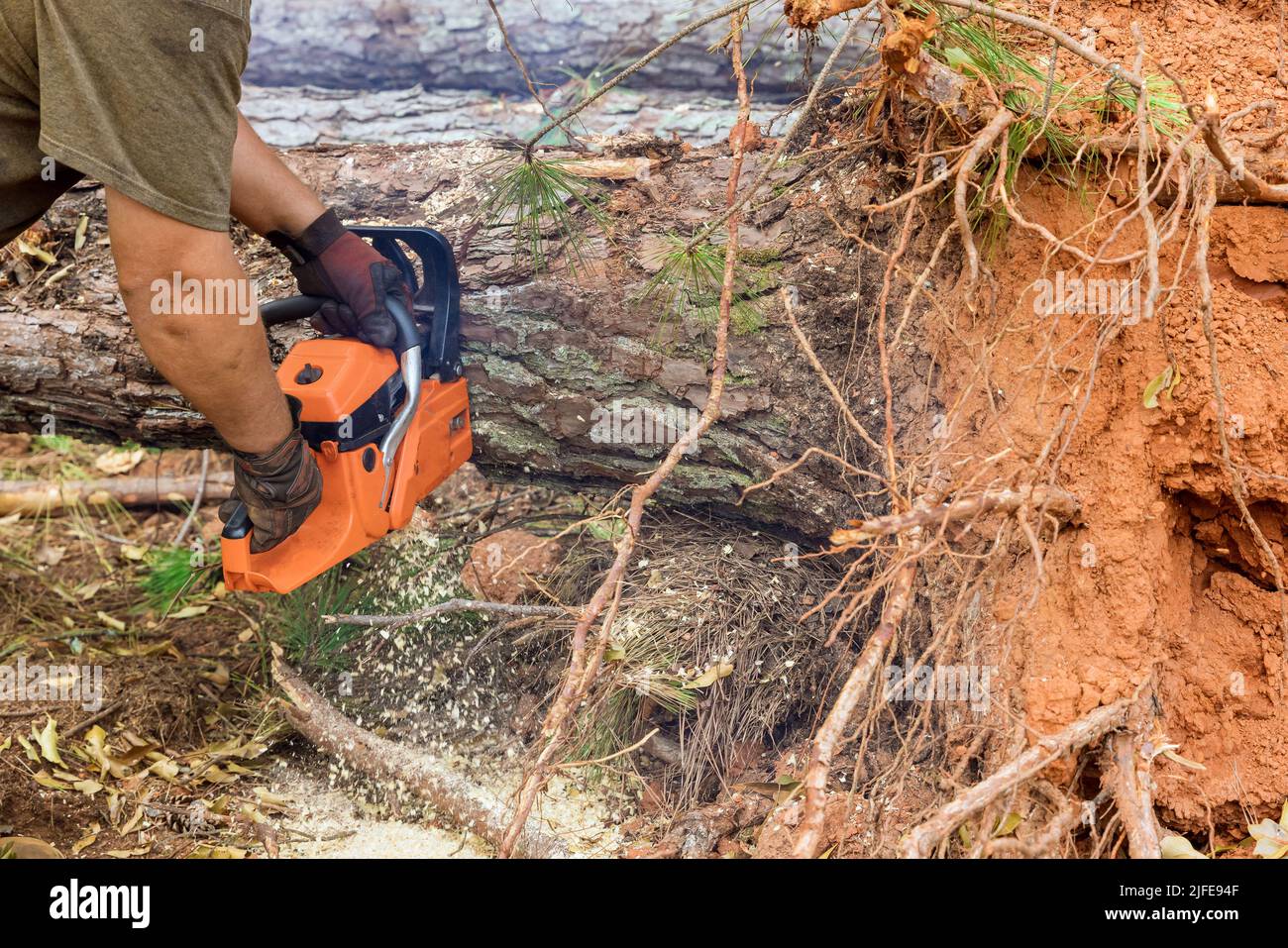 As a result of violent storm, a municipal worker is cutting down a ...