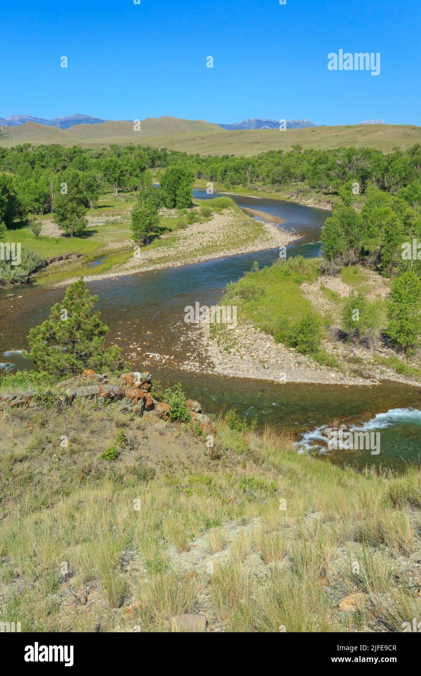dearborn river near craig, montana Stock Photo - Alamy