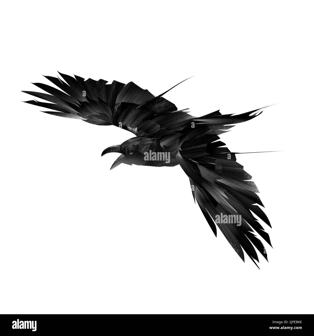 Flying crow from above hi-res stock photography and images - Alamy