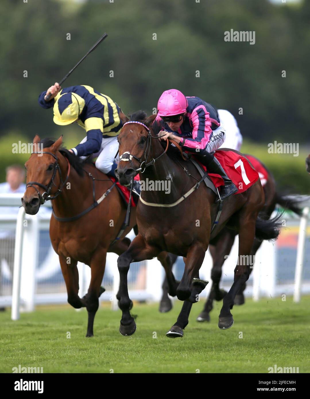 Arqoob hi-res stock photography and images - Alamy