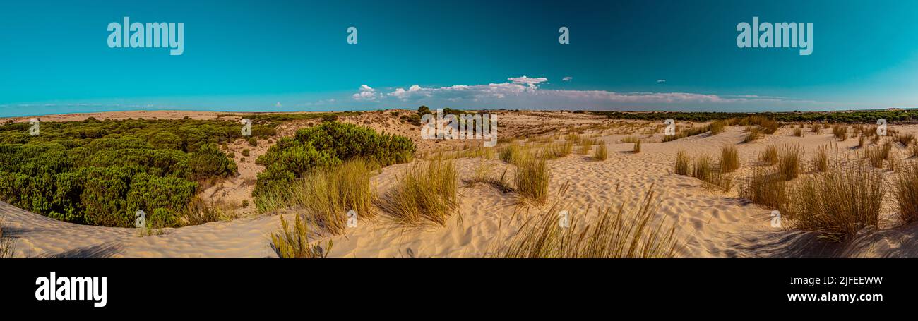 Donana National Park in Spain A UNESCO World Heritage Site Stock Photo ...
