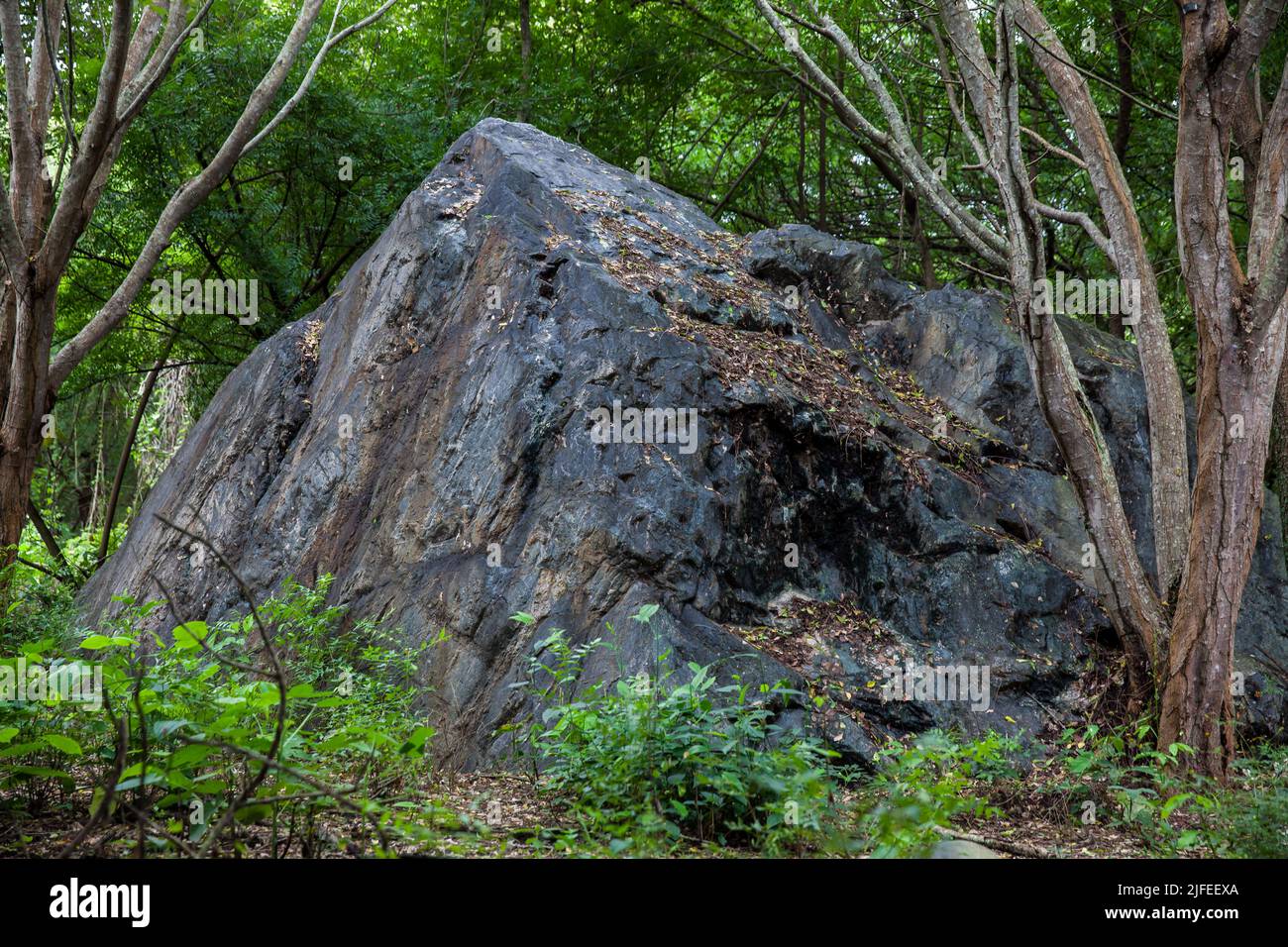 One of the gigantic rocks dragged by the avalanche, caused by the ...