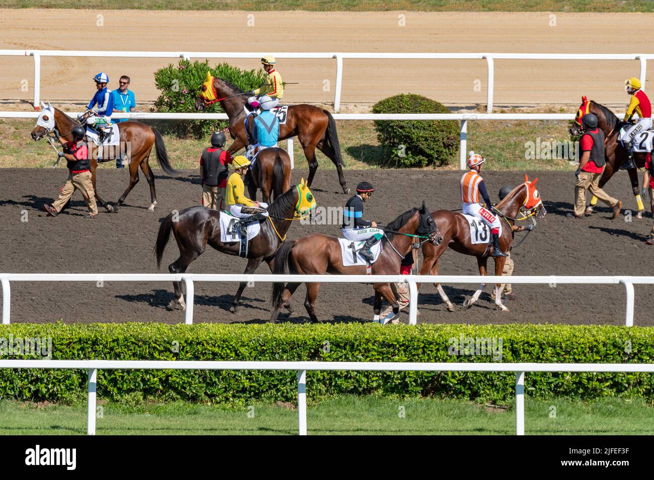 Istanbul horse race hi-res stock photography and images - Alamy