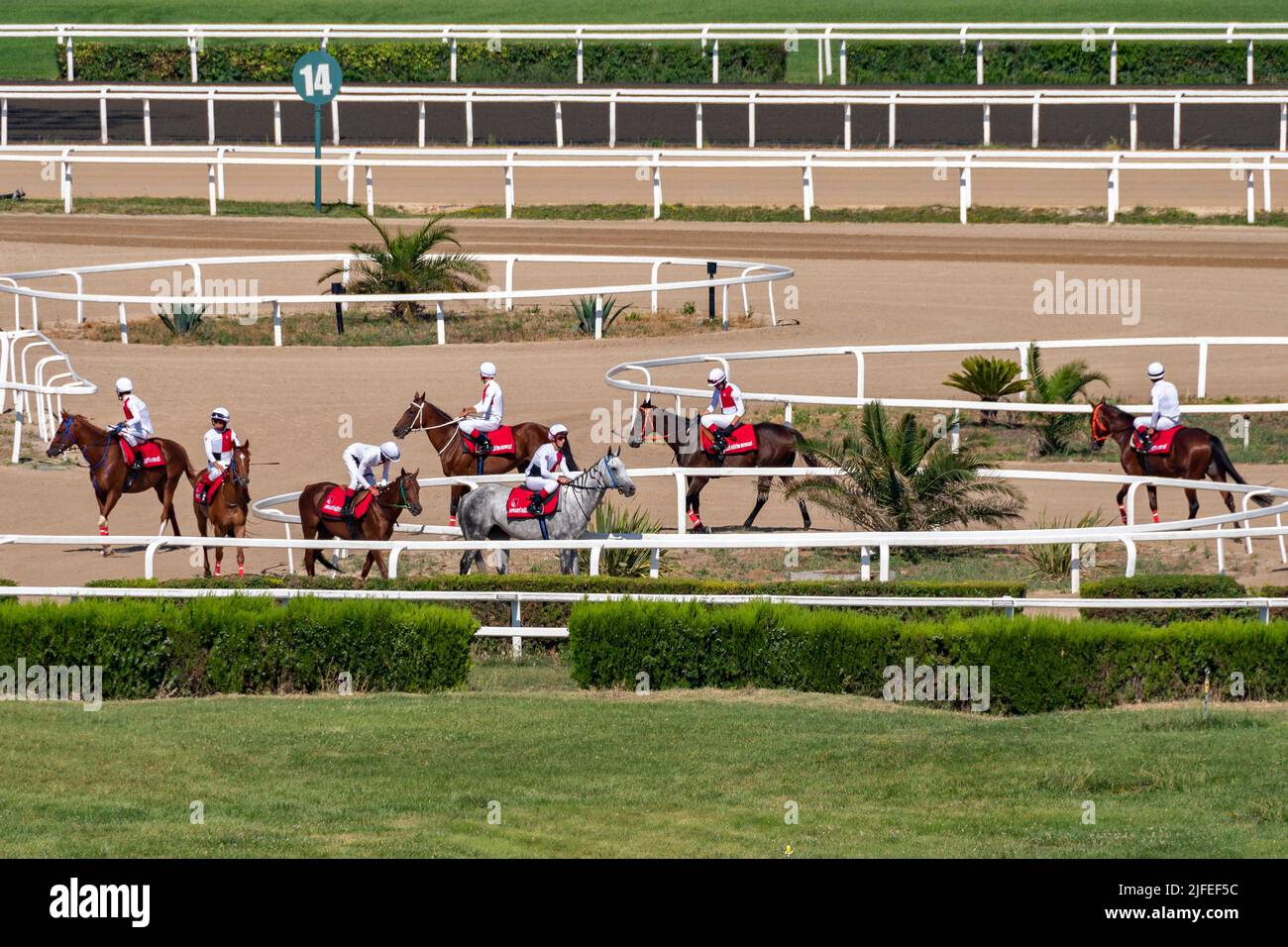 Istanbul horse race hi-res stock photography and images - Alamy