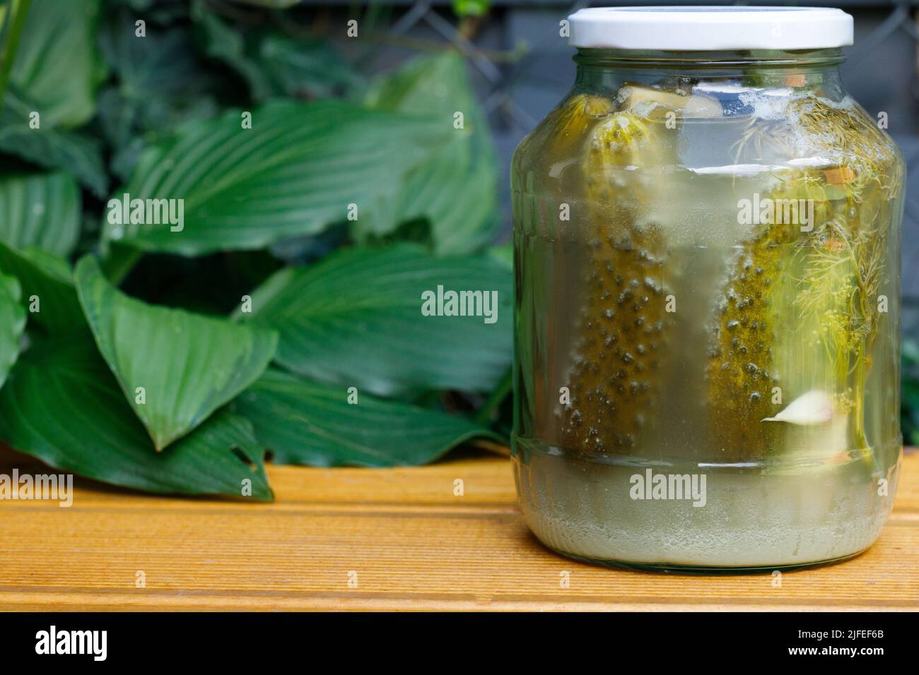 Acidification hi-res stock photography and images - Alamy