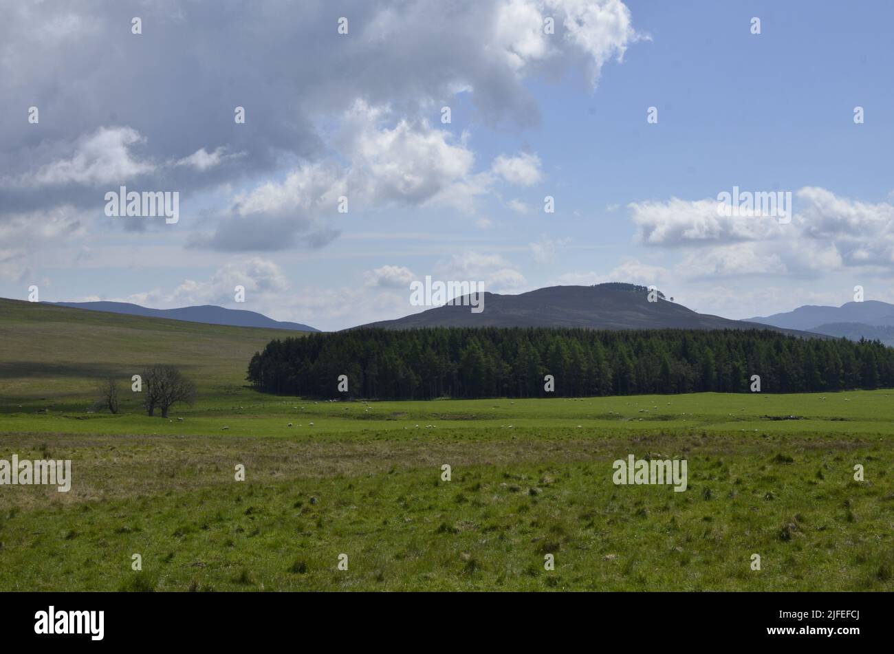 The landscape at Glen Tilt near Blair Atholl in the Scottish Highlands ...