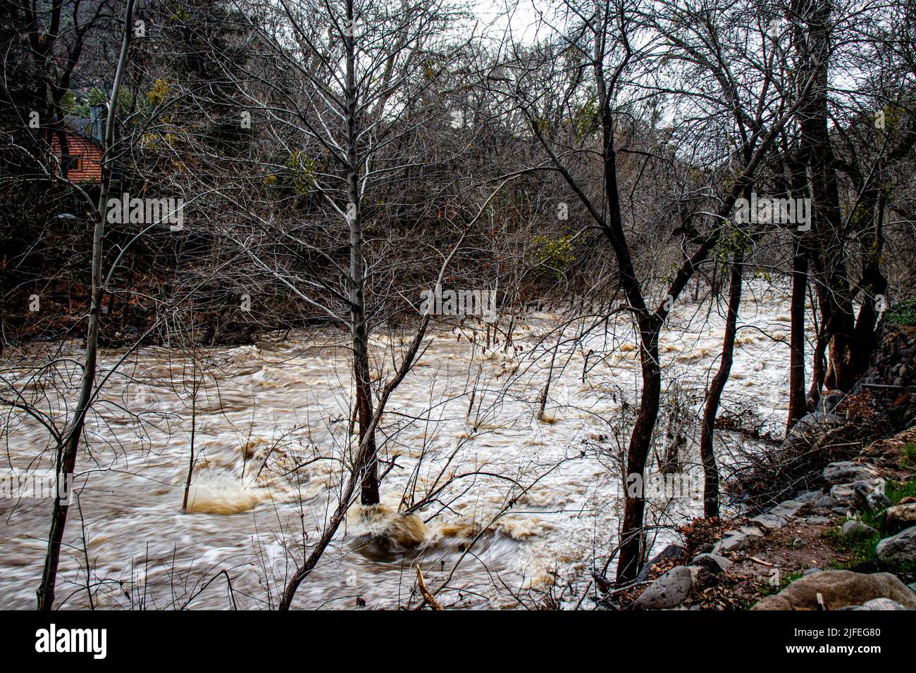 Wild flash flood of Arizona in the spring of 2020, USA Stock Photo - Alamy