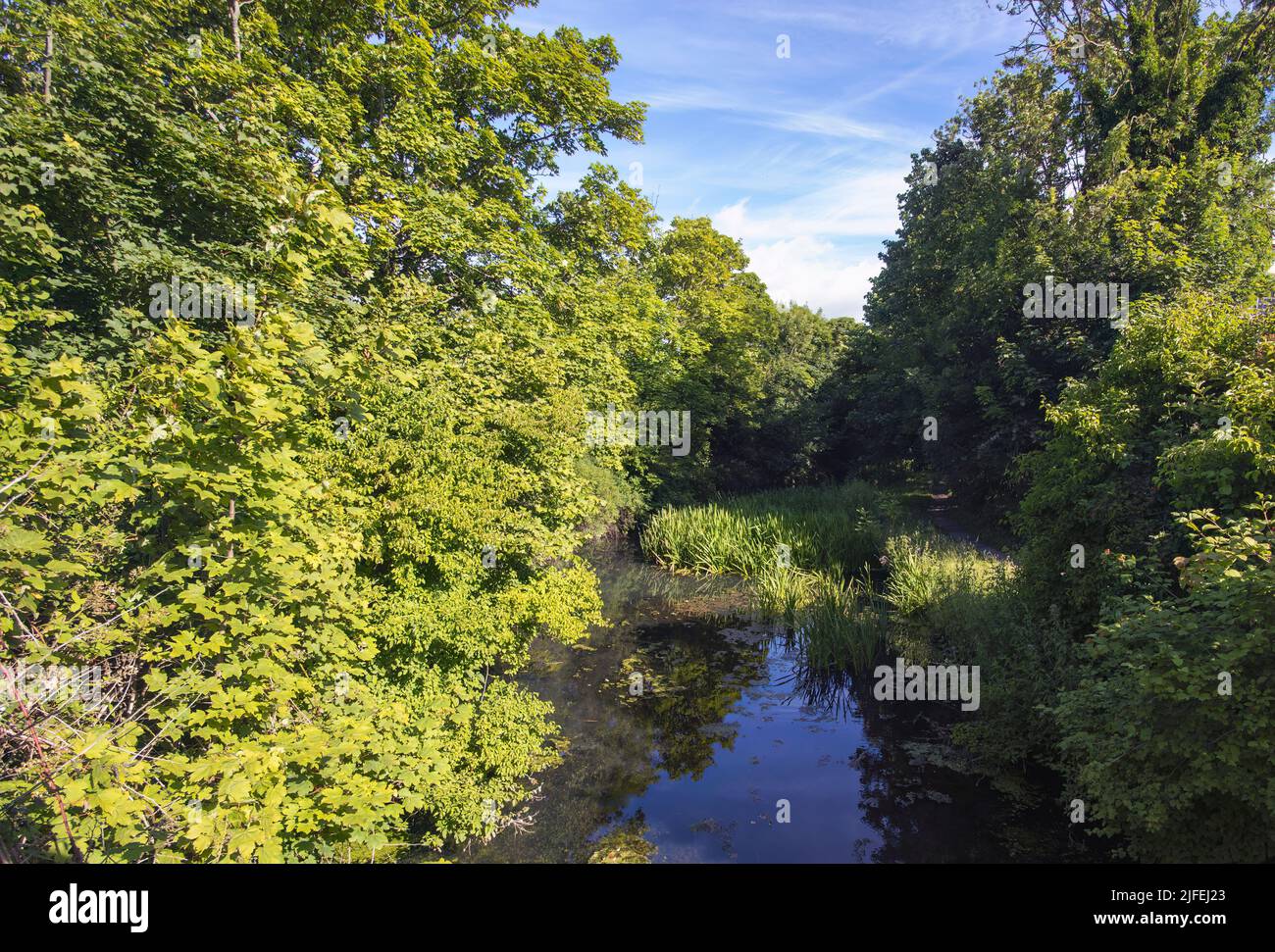 The River Rat in the middle of Stowmarket, Suffolk, UK Stock Photo - Alamy