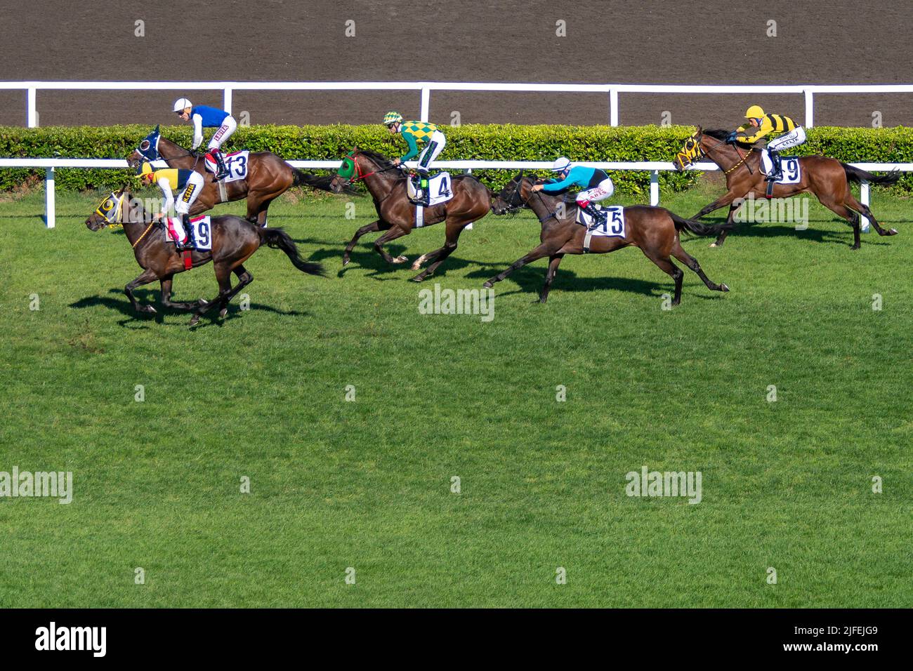 Istanbul horse race hi-res stock photography and images - Alamy