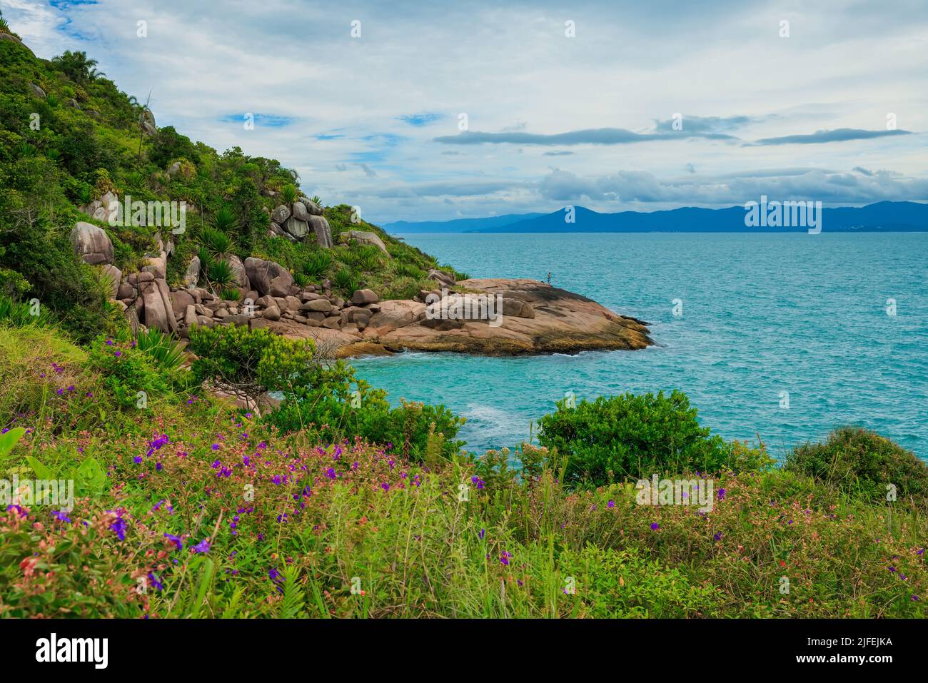 Tropical coastline with plants and turquoise ocean in Brazil Stock ...