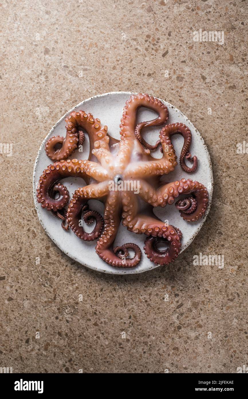 Octopus cooked with chopped herbs served on a plate Stock Photo - Alamy