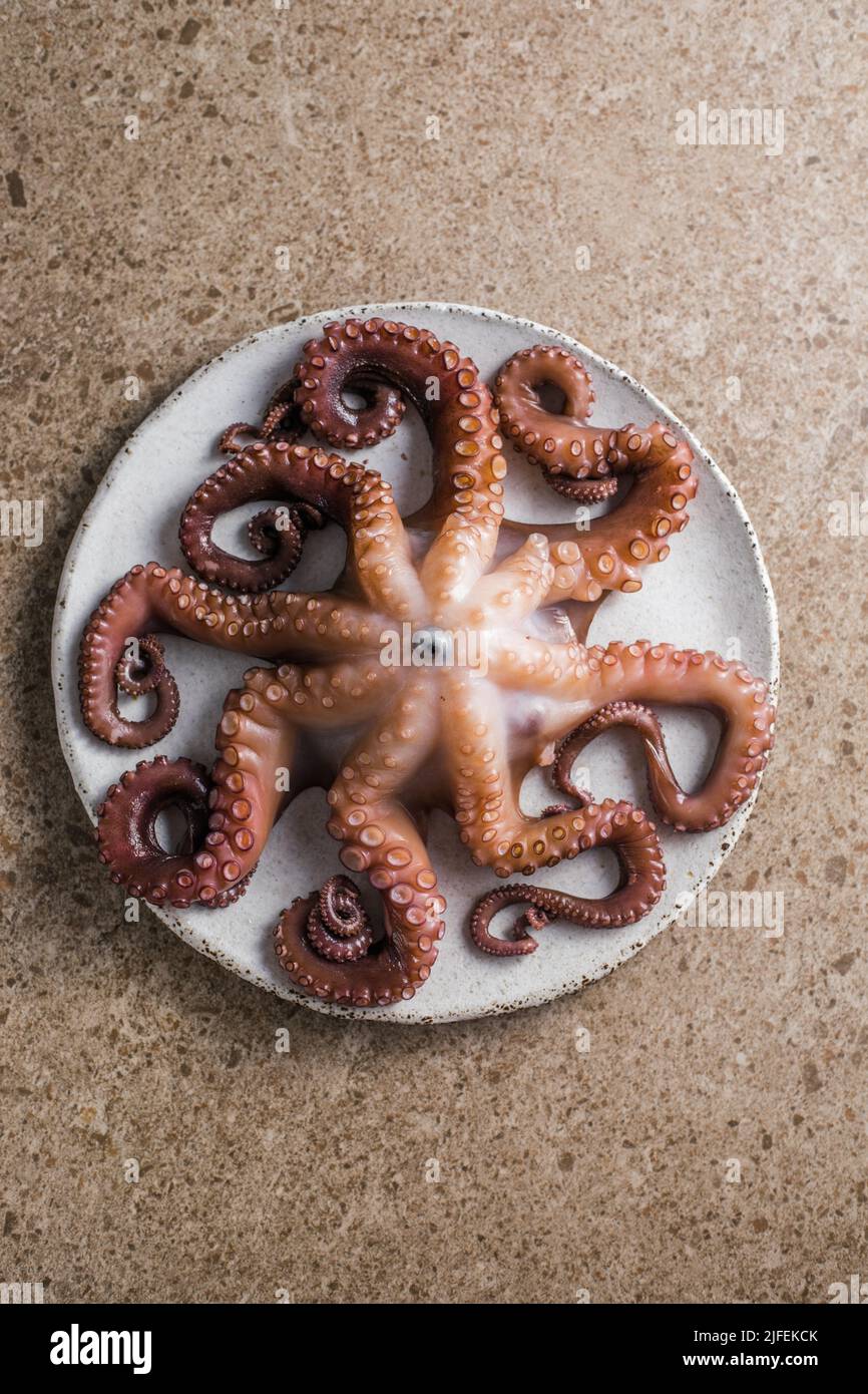 Octopus cooked with chopped herbs served on a plate Stock Photo - Alamy