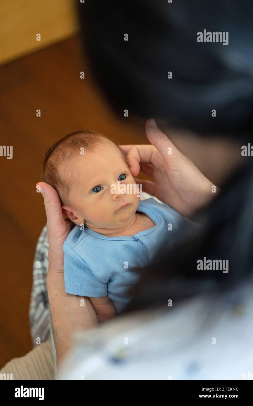 Small newborn baby looking attentively at mother Stock Photo - Alamy