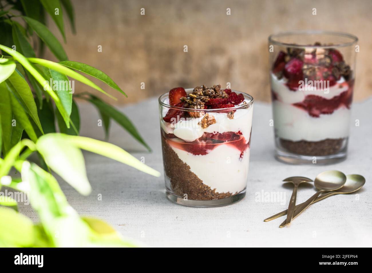 Breakfast layered parfait dessert with yogurt, sponge biscuit and fresh ...