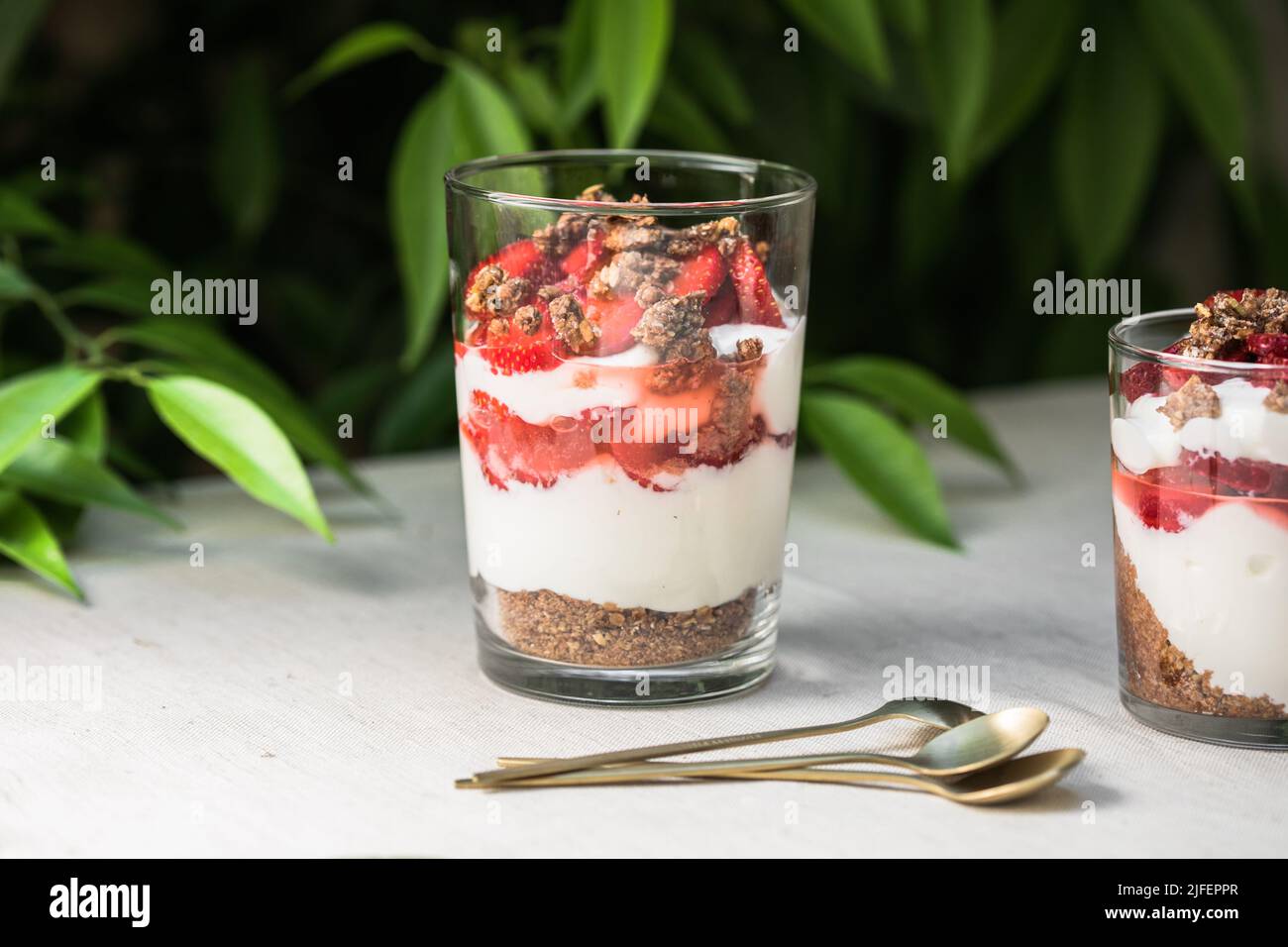 Breakfast layered parfait dessert with yogurt, sponge biscuit and fresh ...
