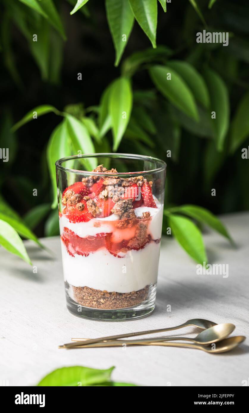Breakfast layered parfait dessert with yogurt, sponge biscuit and fresh ...
