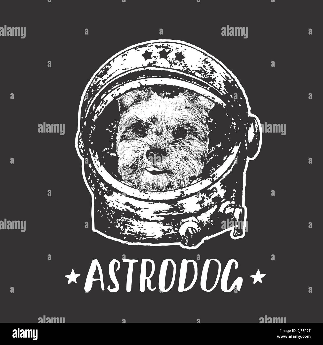 Yorkshire Terrier astrodog portrait. Cute space dog. Vector ...