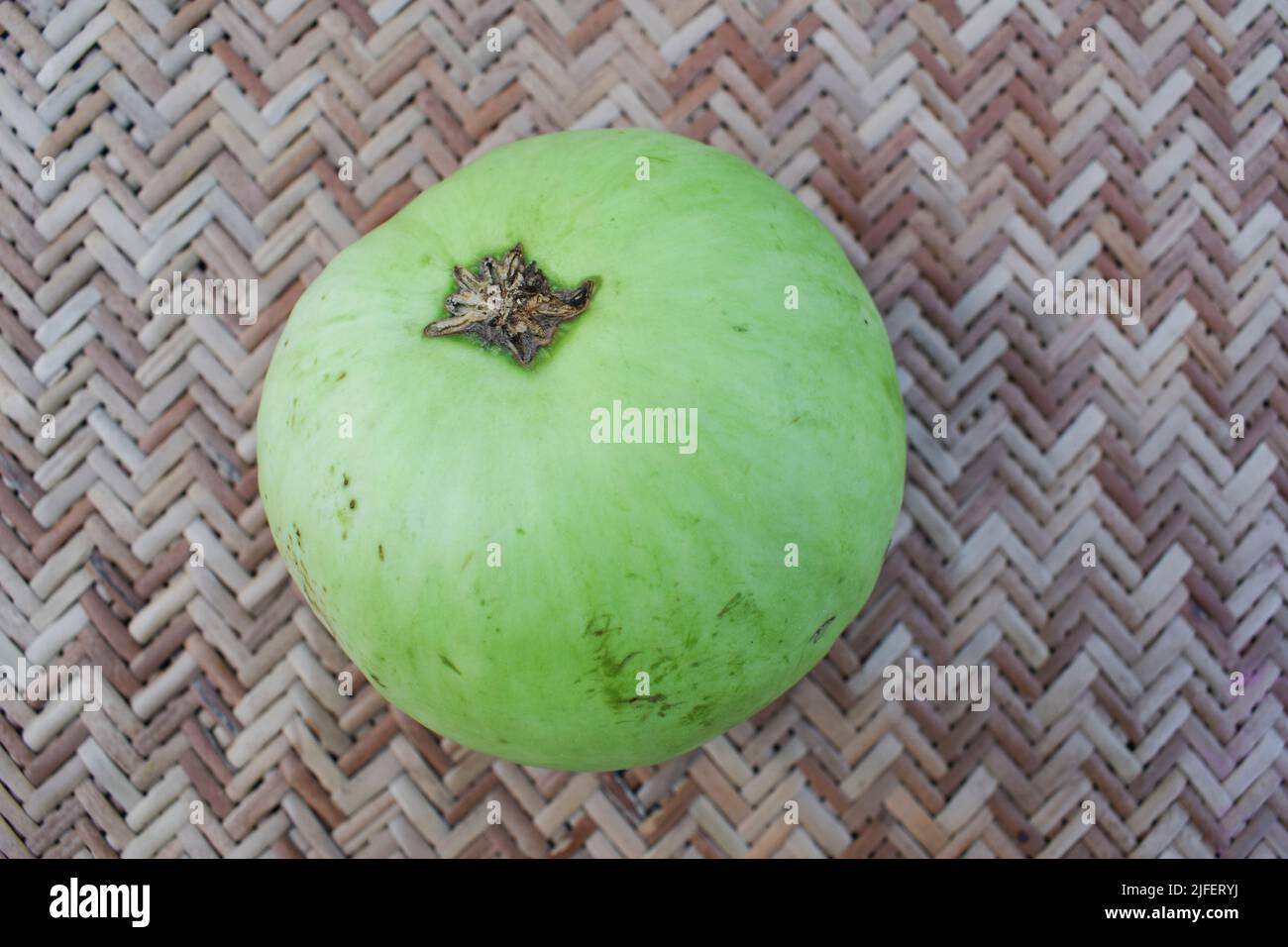 Round bottlegourd vegetable in hand. Indian asian sphere shaped organic ...