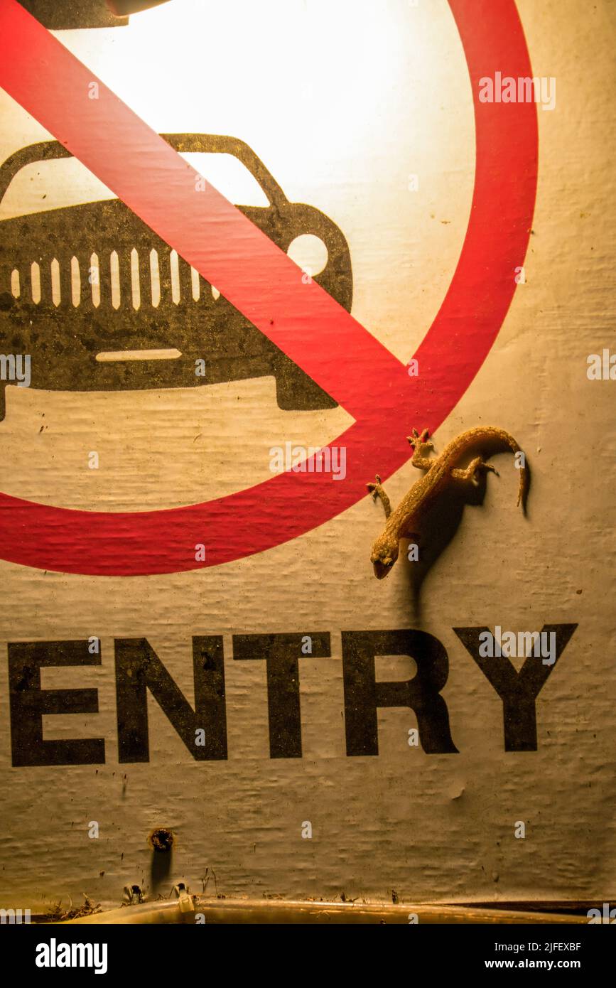 No entry sign hand hi-res stock photography and images - Alamy