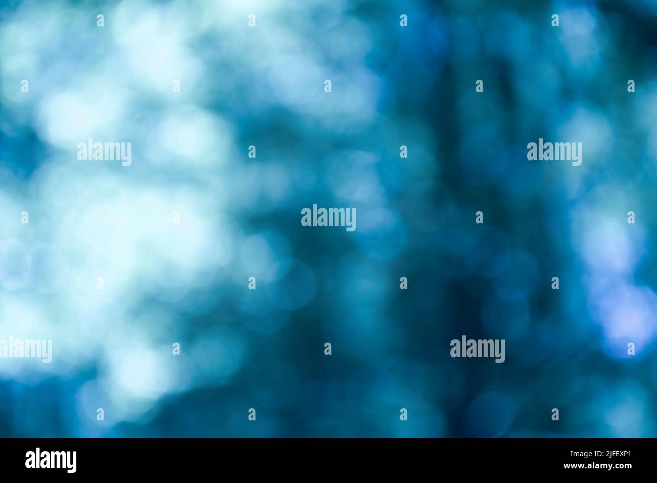 Blurred trees in winter with skylight. Blur background with bokeh ...