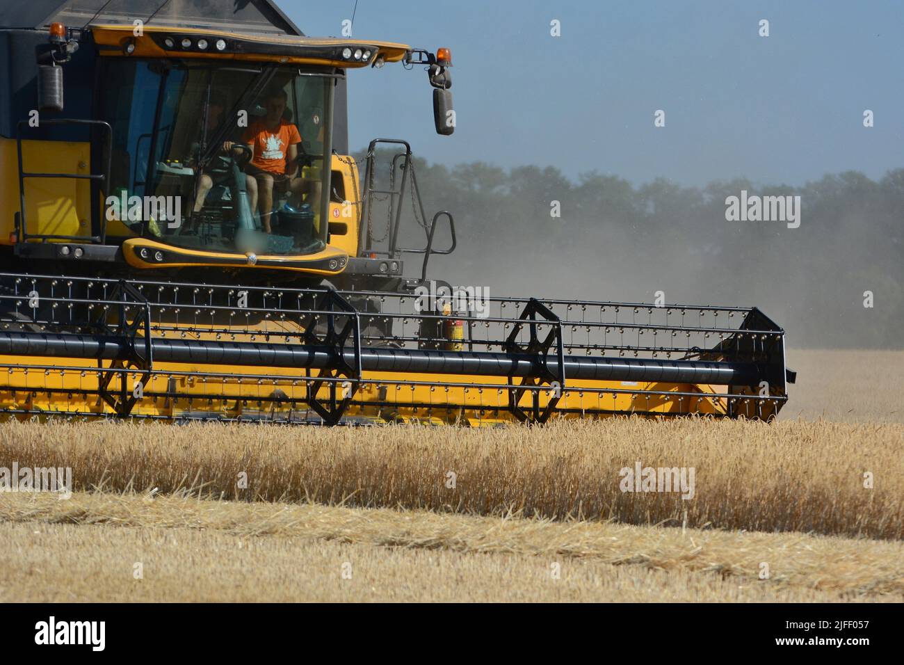 A combine harvester is seen harvesting at a wheat field. Harvesting in ...