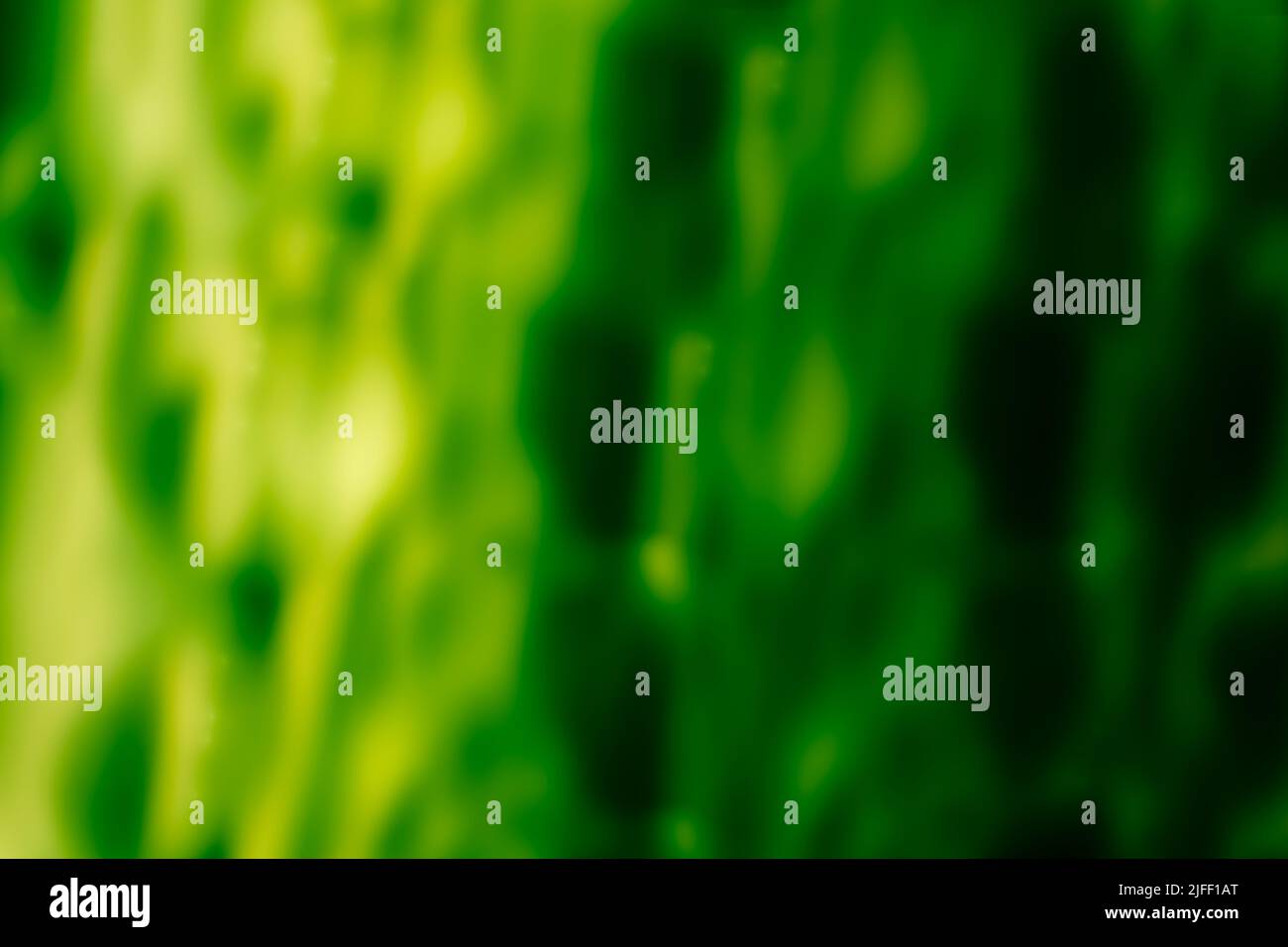 Acid abstract background in green tones. A soft blur of bright fluidity ...