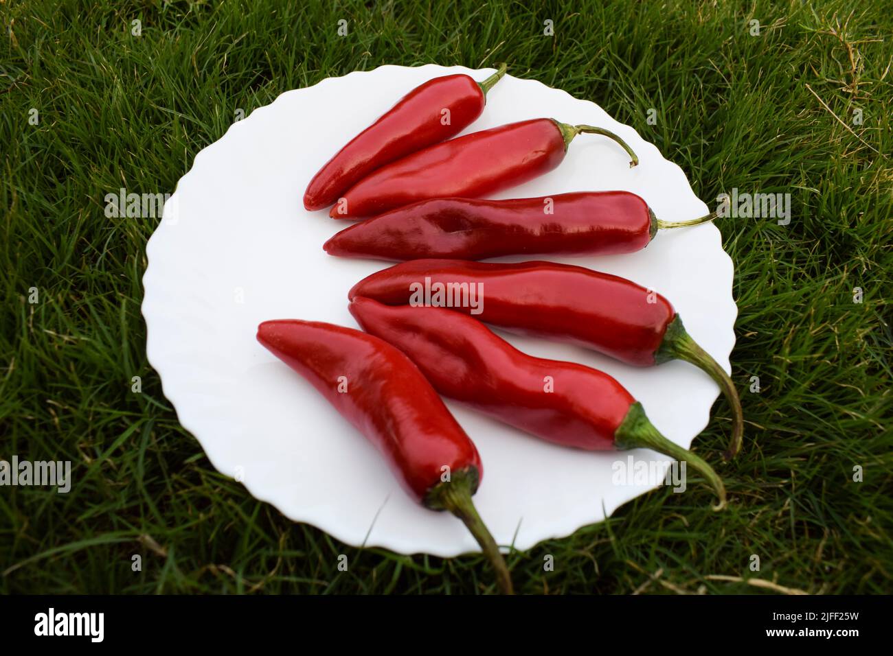 Are Shepherd Peppers Spicy