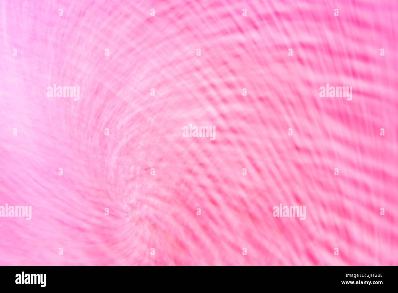 Abstract background banner, pink swirl, small waves, ripples. Backdrop ...