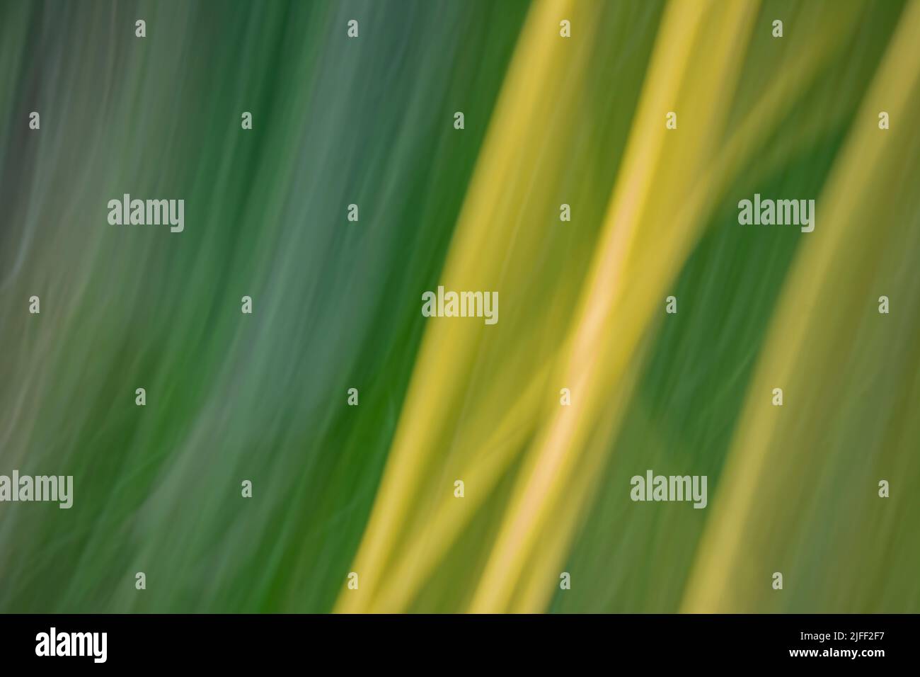 Dirty dark green abstract background with yellow diagonal lines ...