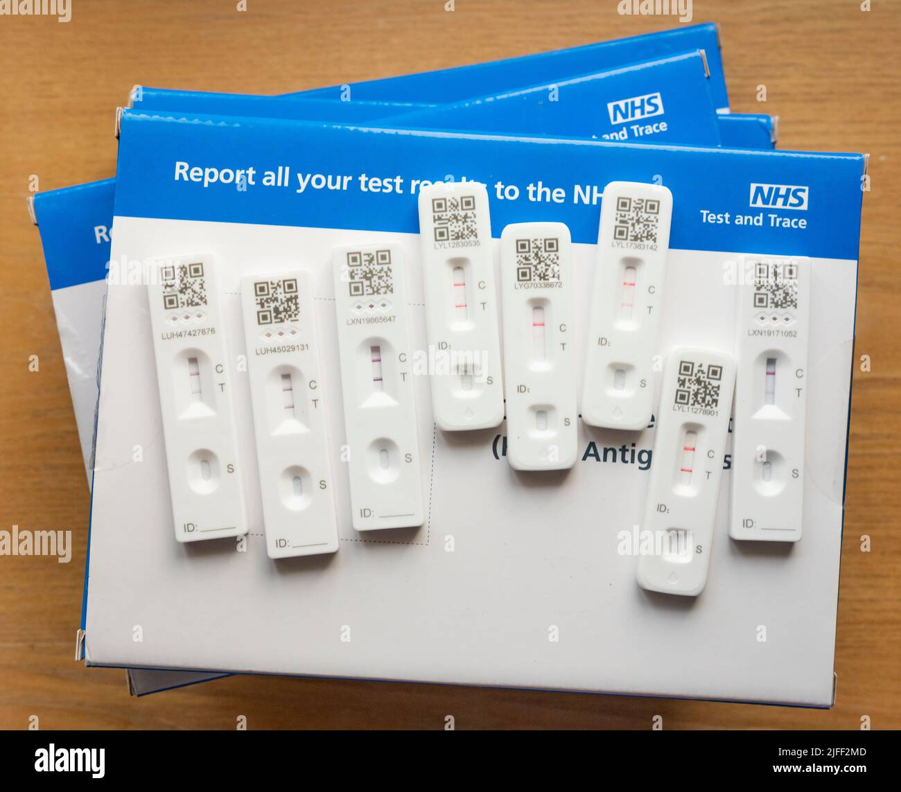 An array of Covid lateral flow tests showing positive results Stock ...