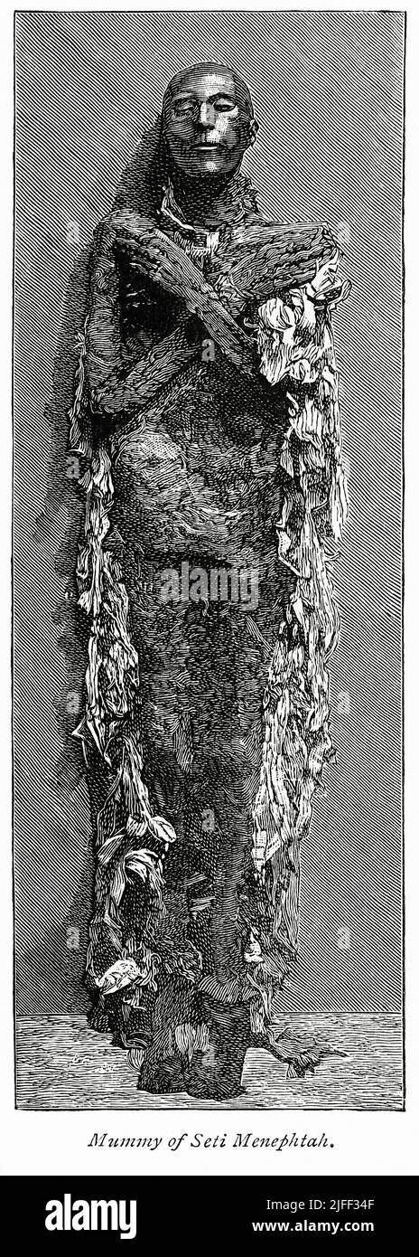 Mummy of Seti Menephtah (Seti-Merenptah), Illustration from the Book ...