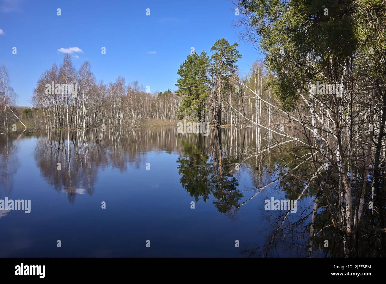Forest river in May. Water spring landscape in the national park of ...