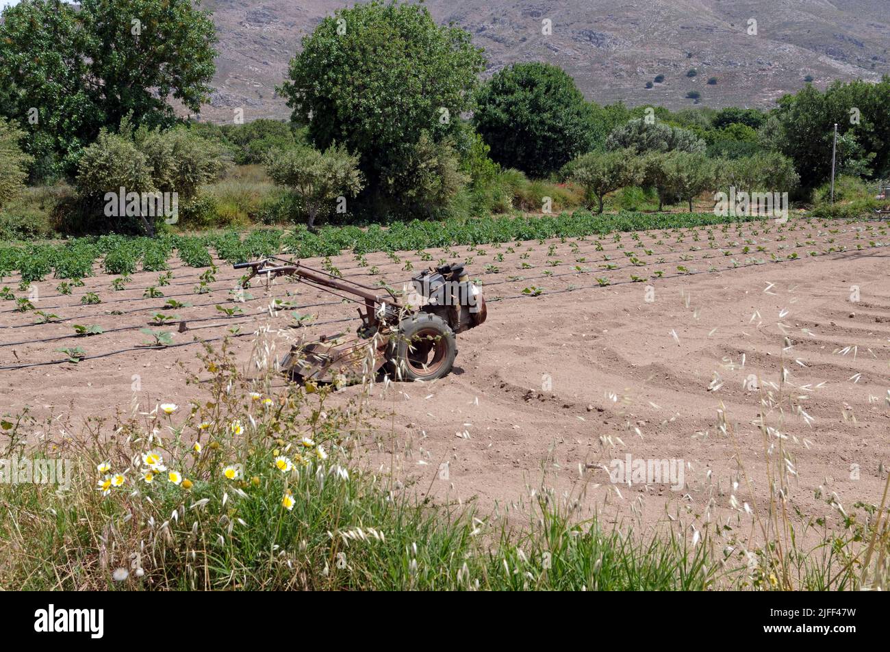 Rotovator sits idle in a cultivated field, Eristos valley, Tilos island ...