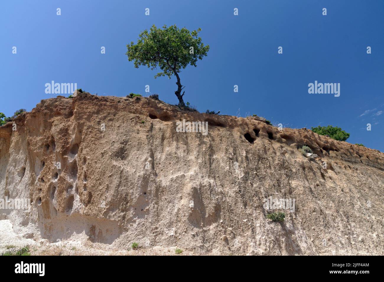 A single tree grows against the skyline, over a quarried section of ...