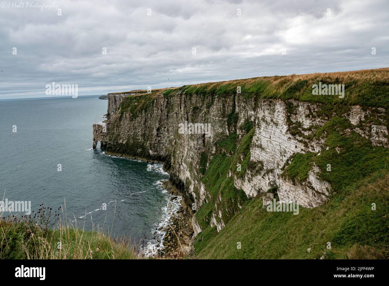 The Bempton Cliffs nature reserve landscape in the East Riding of ...