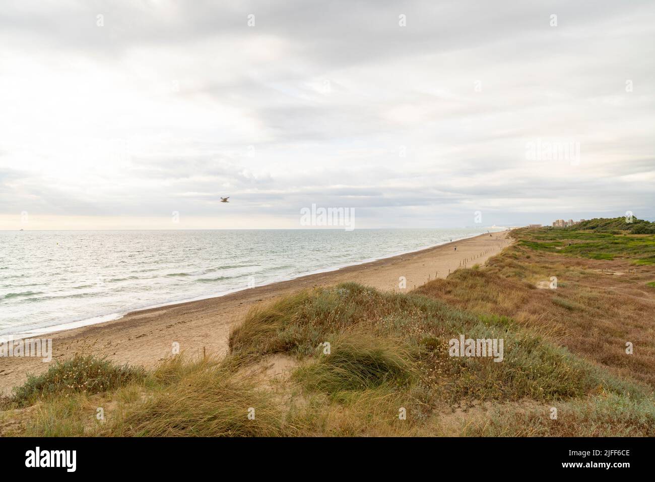 View of the El Saler Beach on a sunny day . The beaches of Valencia are ...
