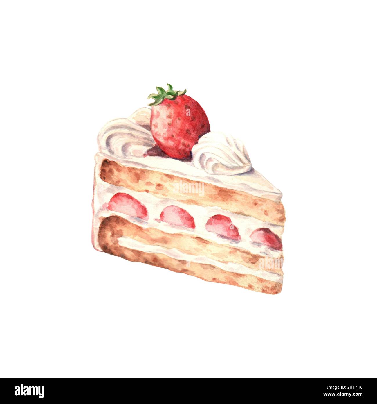 Strawberry Cake Clipart