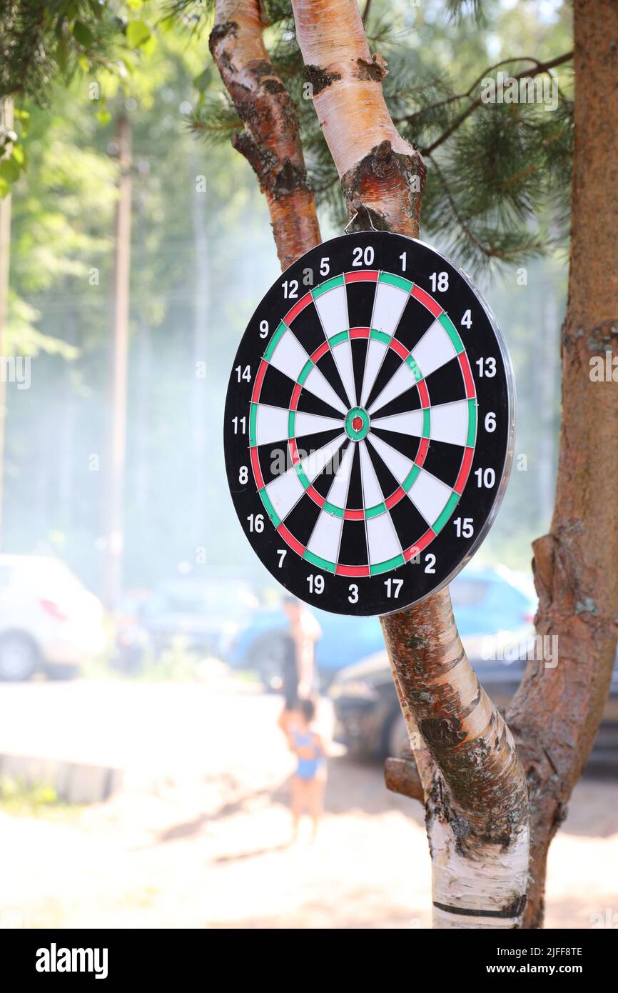 Photo of a dart board hanging from a tree Stock Photo - Alamy