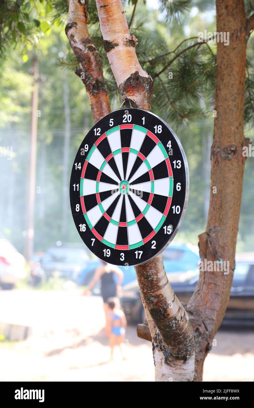 Photo of a dart board hanging from a tree Stock Photo - Alamy