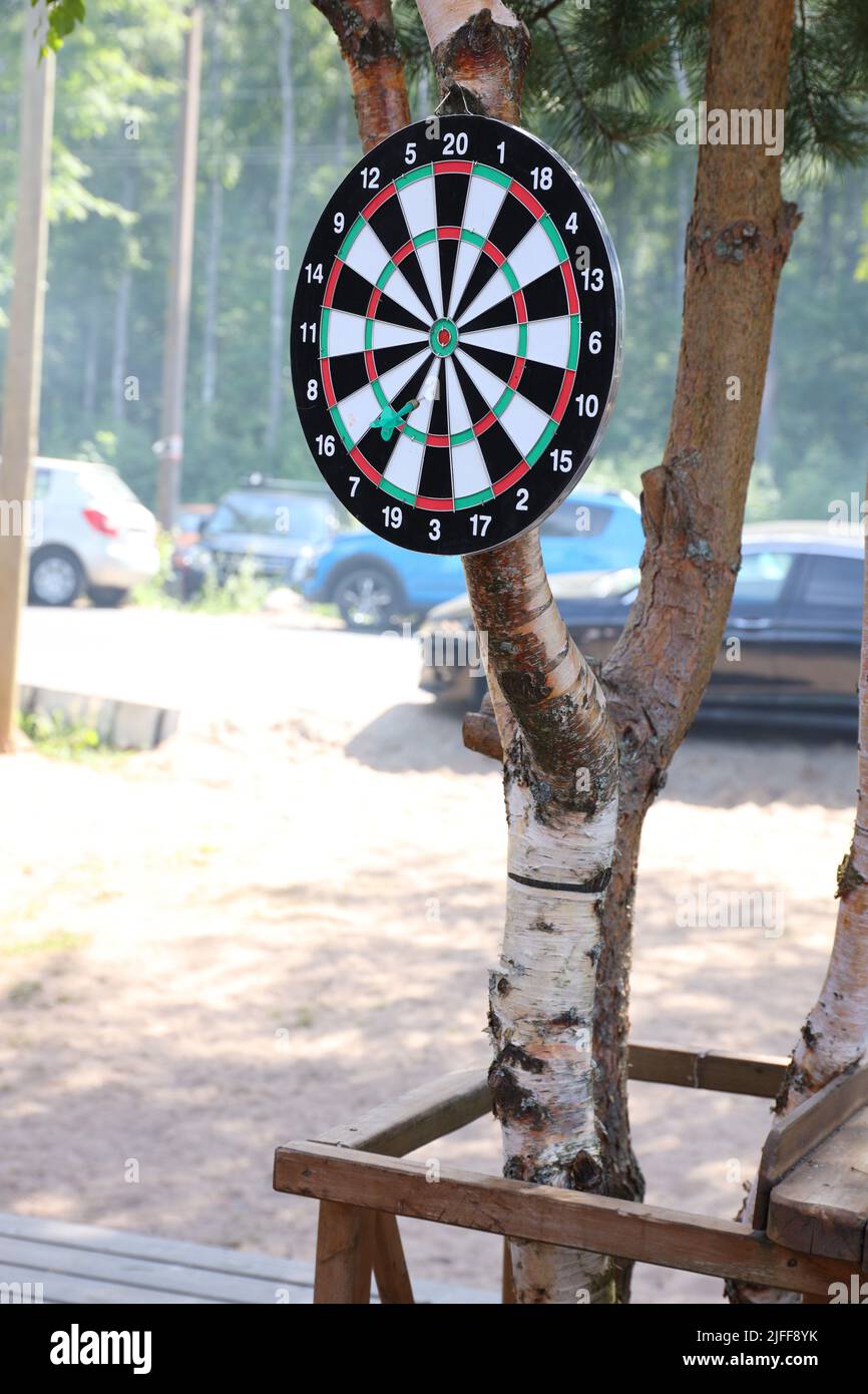 Photo of a dart board hanging from a tree Stock Photo - Alamy