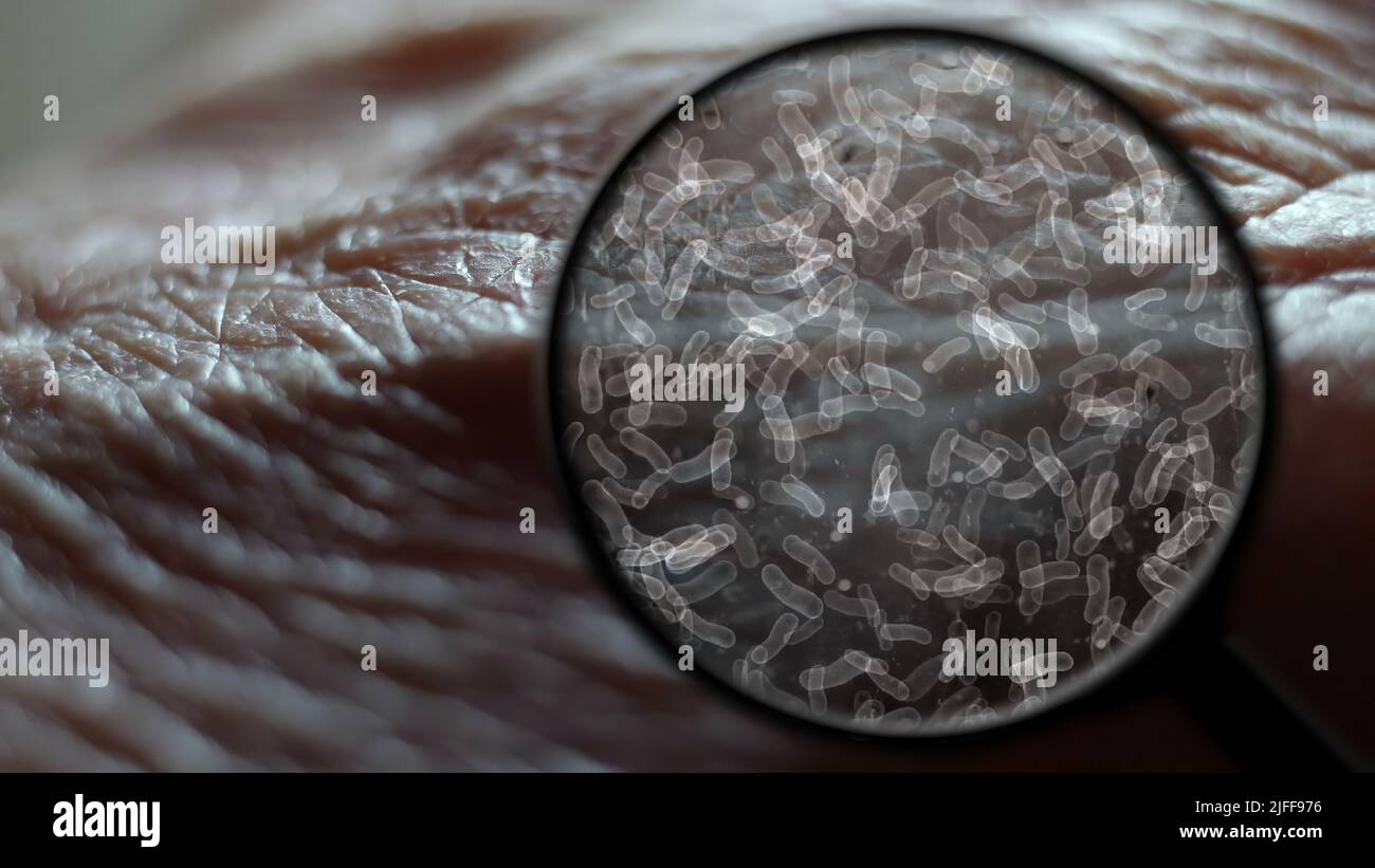 Searching for bacteria on human skin Stock Photo - Alamy