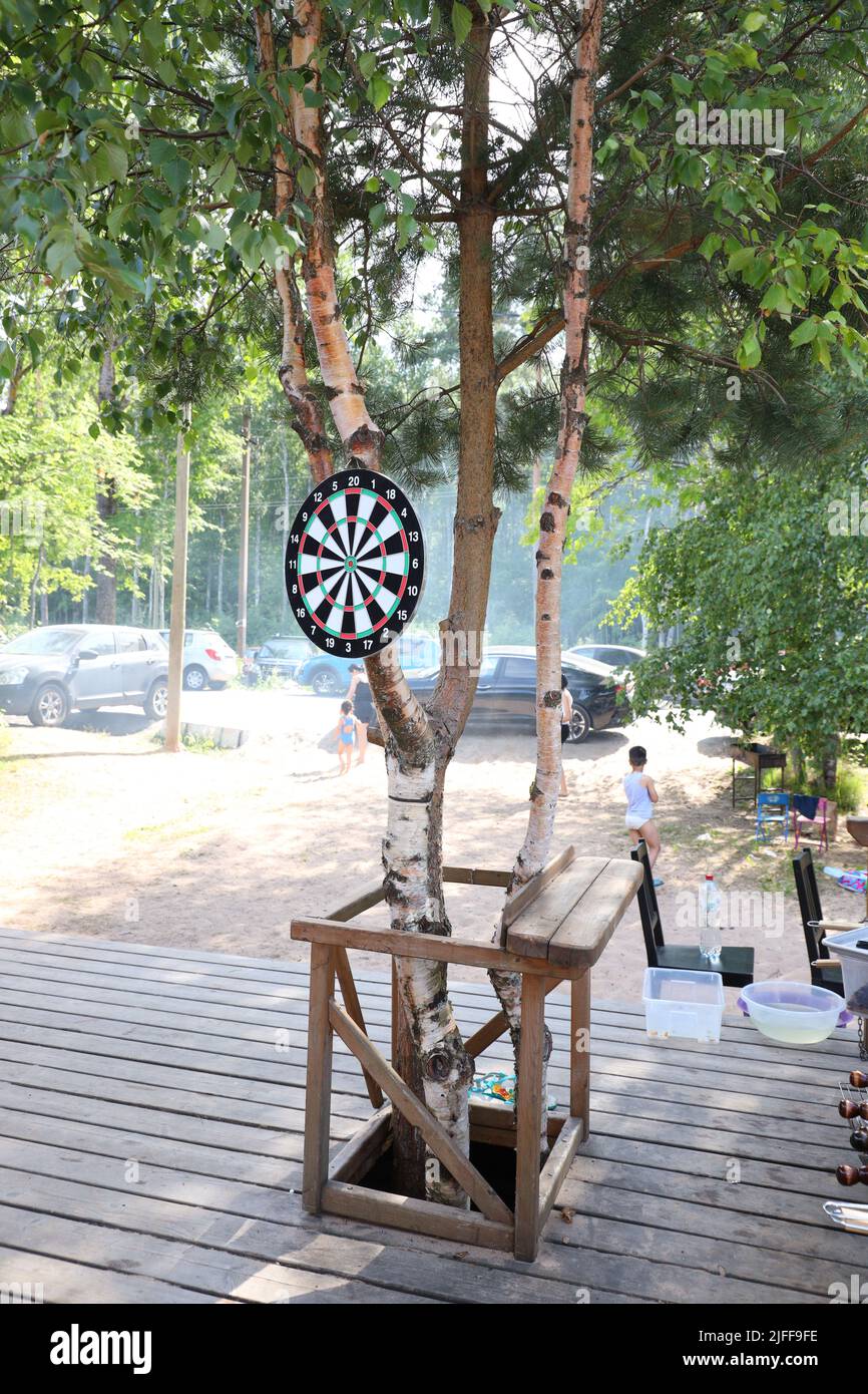 Photo of a dart board hanging from a tree Stock Photo - Alamy