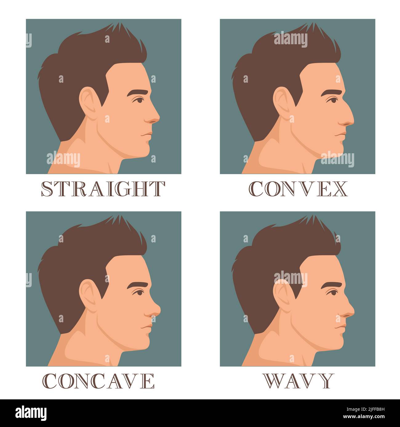 Male Nose Types