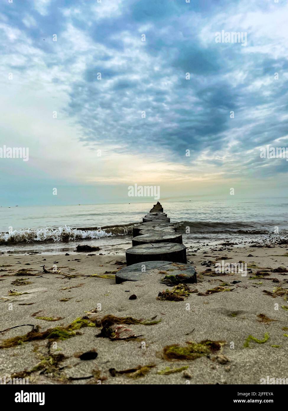 A vertical shot of a breakwater wooden poles at the beach Stock Photo ...