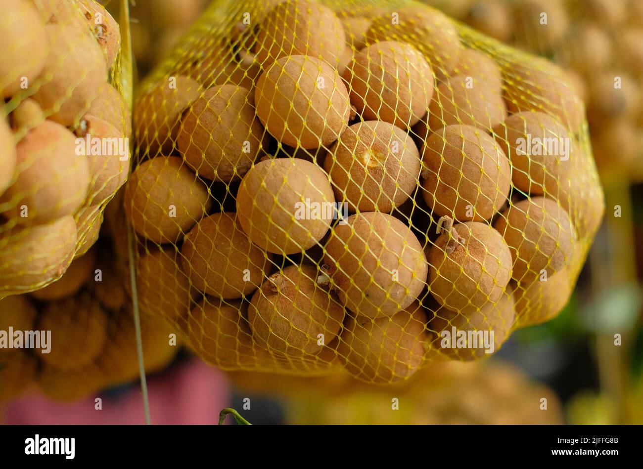 Longan plants hi-res stock photography and images - Alamy